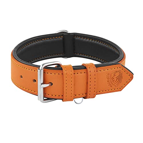 🔥 COLLAR ANCHO PERRO - Todo para mi perro 🔥 COLLAR ANCHO PERRO - Todo para mi perro